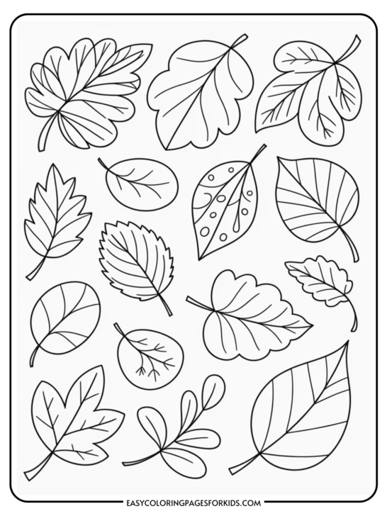 Coloring Pages for Fall Leaves (9 Fun Printable Sheets) - Easy Coloring ...